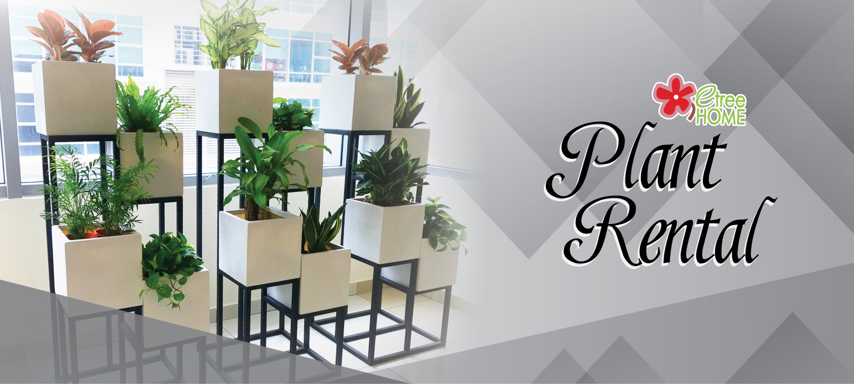 E-Tree Home Florist & Plant Rental